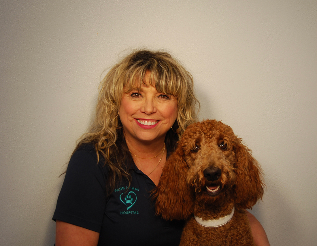 About Us - Park Animal Hospital